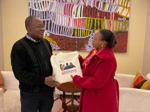 African Renaissance in Brief - African Renaissance