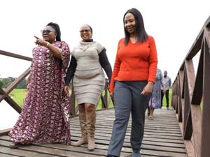 African Renaissance in Brief - African Renaissance